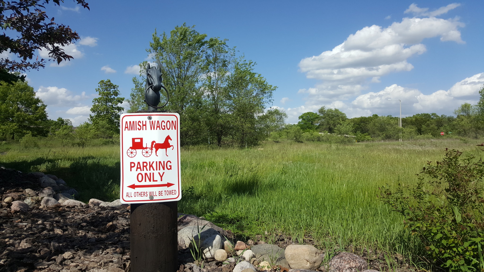 Amish Wagon Parking - Daniels Training Services